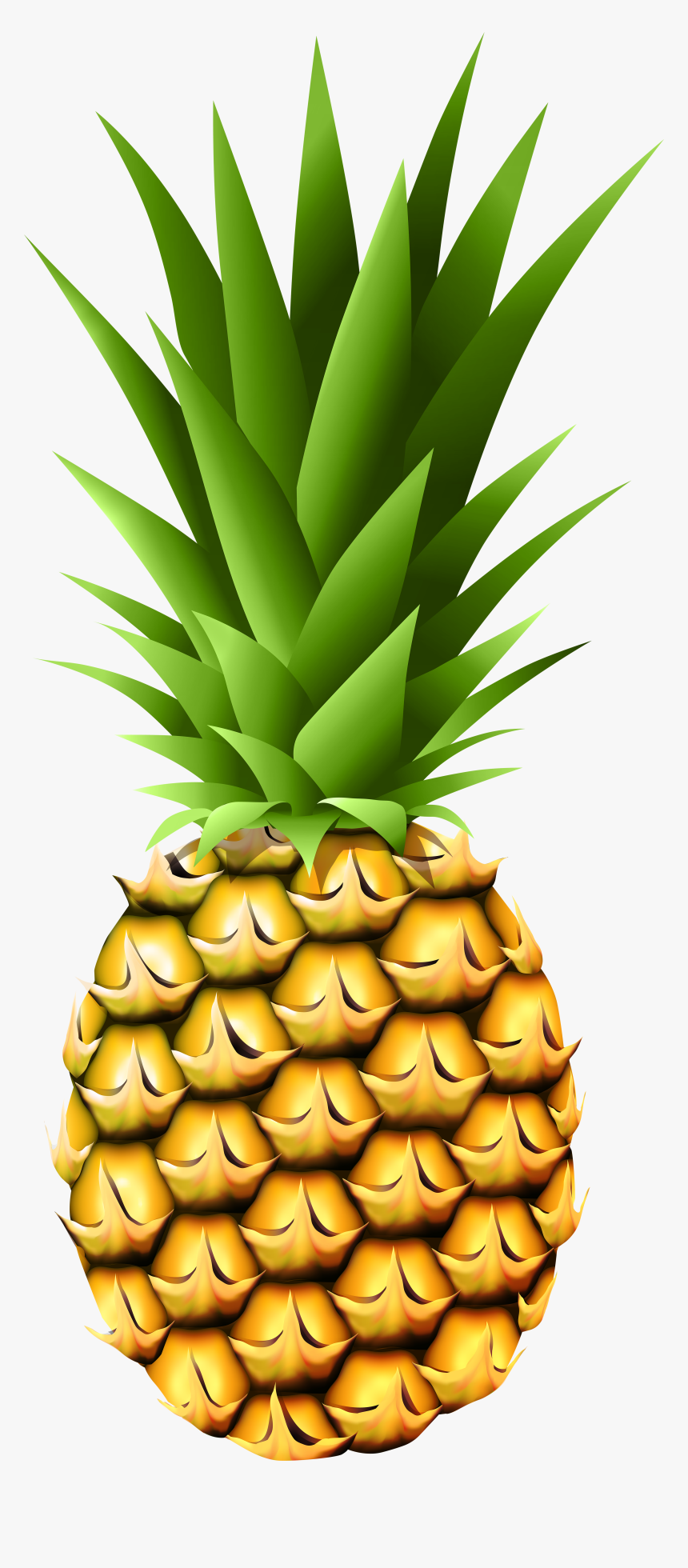 Fruits Transparent Pineapple - Pineapple Transparent Background, HD Png ...