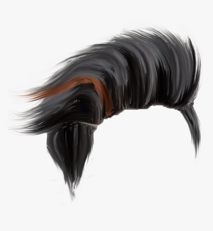 Cb Edit Hair Png Hd, Transparent Png , Transparent Png Image - PNGitem