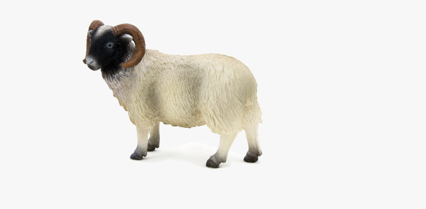Transparent Ram Png - Transparent Ram Sheep Png, Png Download ...