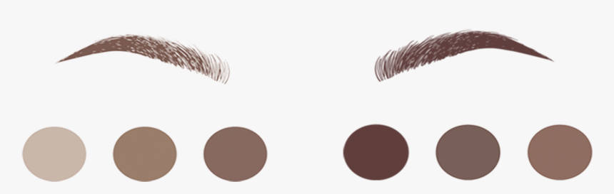 Eyebrow Png- - Eye Liner, Transparent Png , Transparent Png Image - PNGitem
