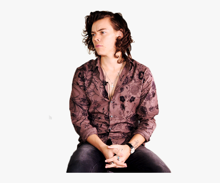 Harry Styles Transparent Background, HD Png Download , Transparent Png ...