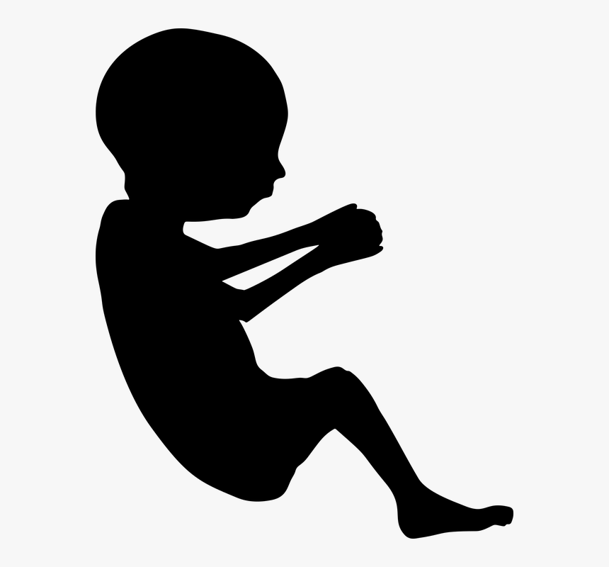 Fetus, Baby, Developing, Mother, Mom, Womb, Pregnant - Baby In Womb ...