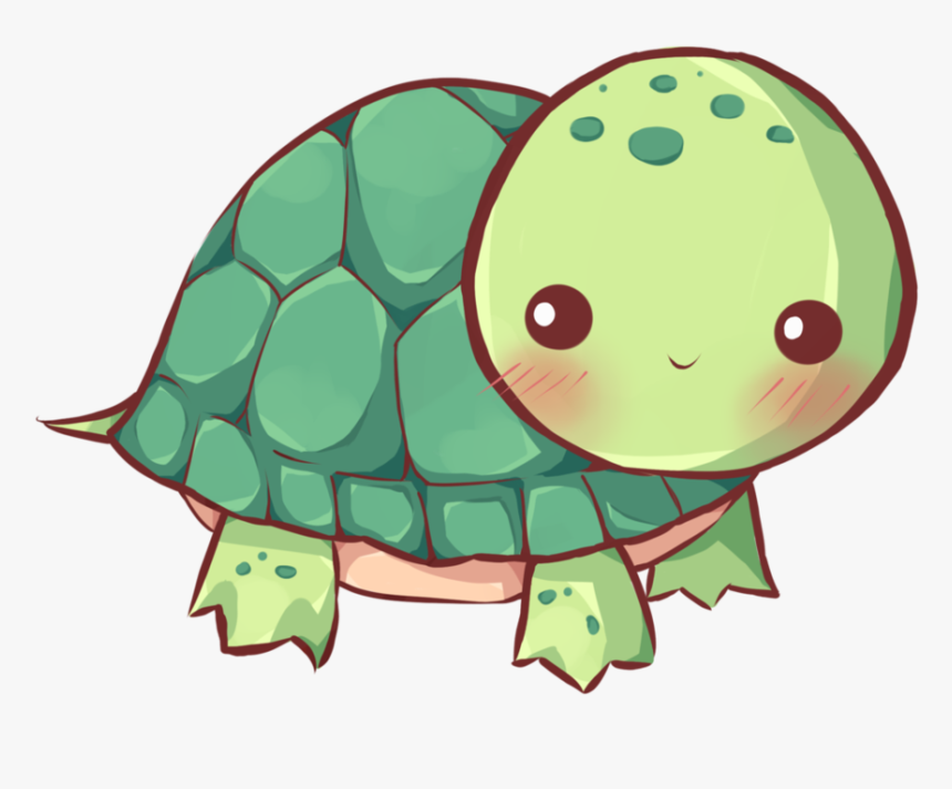 Cutest Turtle Ever