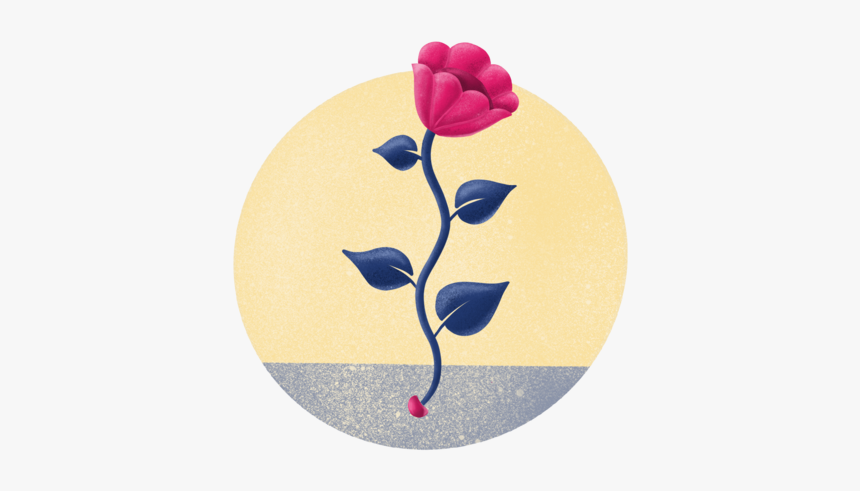 Flourish, HD Png Download , Transparent Png Image - PNGitem