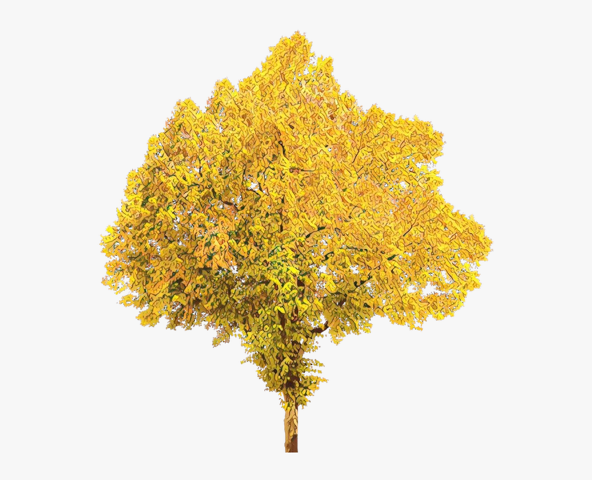 Fall Tree Portable Network Graphics Clip Art Autumn - Fall Tree ...