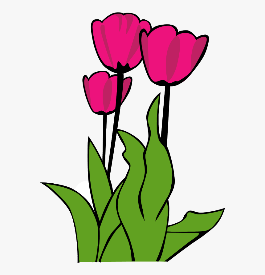 Tulip Clipart Kid - Tulip Clip Art, HD Png Download , Transparent Png ...