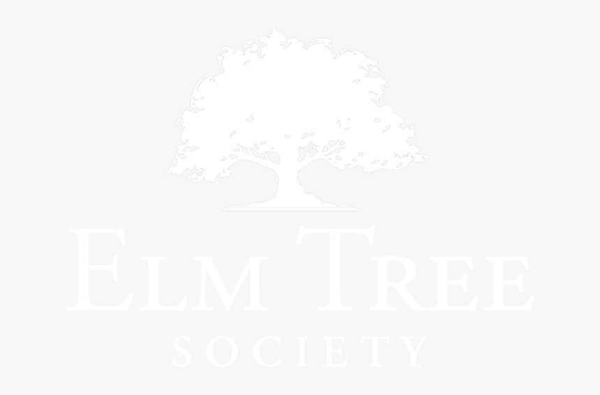 Elm Tree Logo, HD Png Download , Transparent Png Image - PNGitem