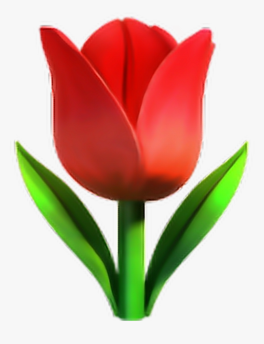 #red#tulip#emoji# 🌷 ️ - Tulip Emoji, HD Png Download , Transparent Png ...