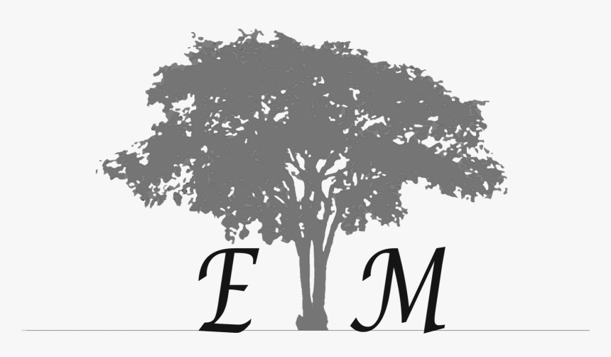 Elm Tree, HD Png Download , Transparent Png Image - PNGitem