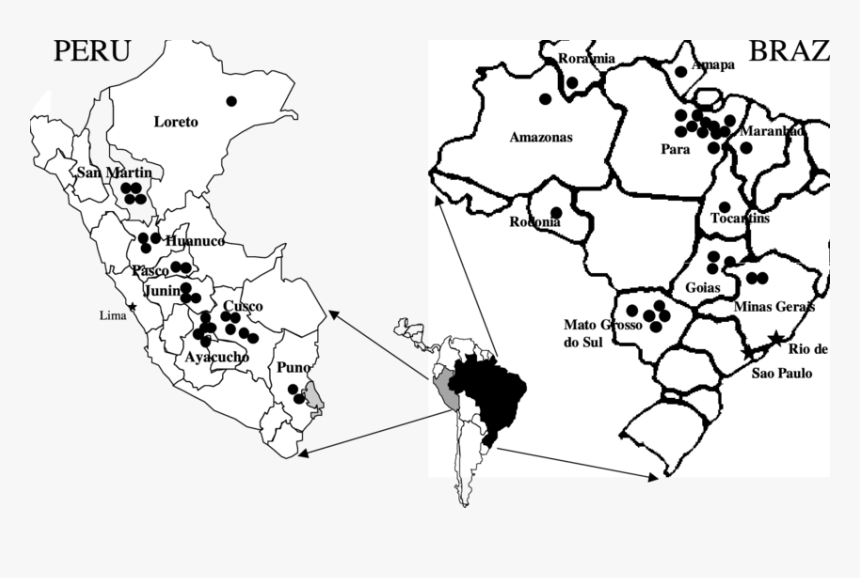 Map Of Peru And Brazil Indicating Geographic Origins - Atlas, HD Png ...