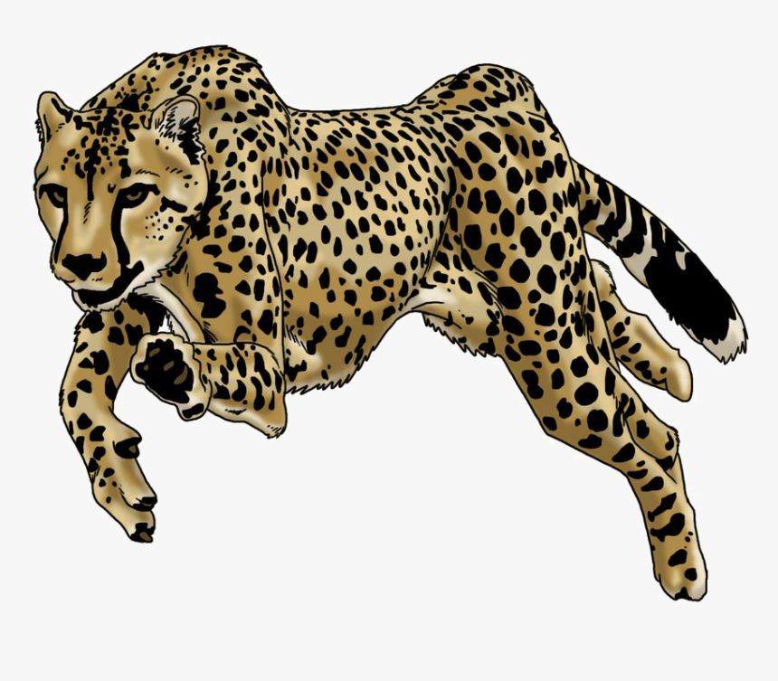 Running Leopard Png Image Background - Leopard Drawing Png, Transparent ...