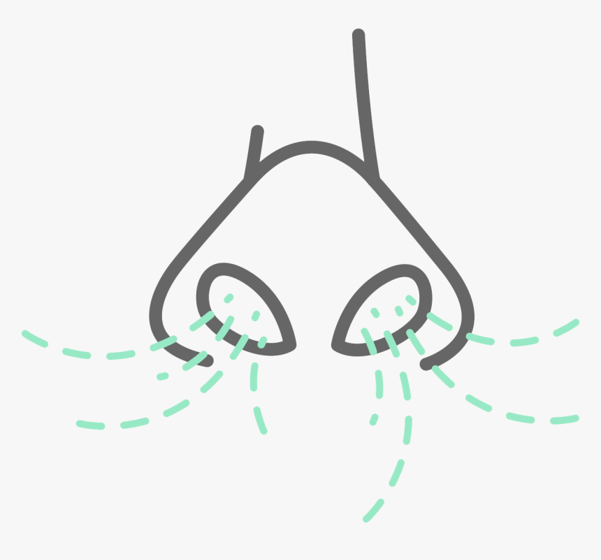 The Power Of Breathing, HD Png Download , Transparent Png Image - PNGitem