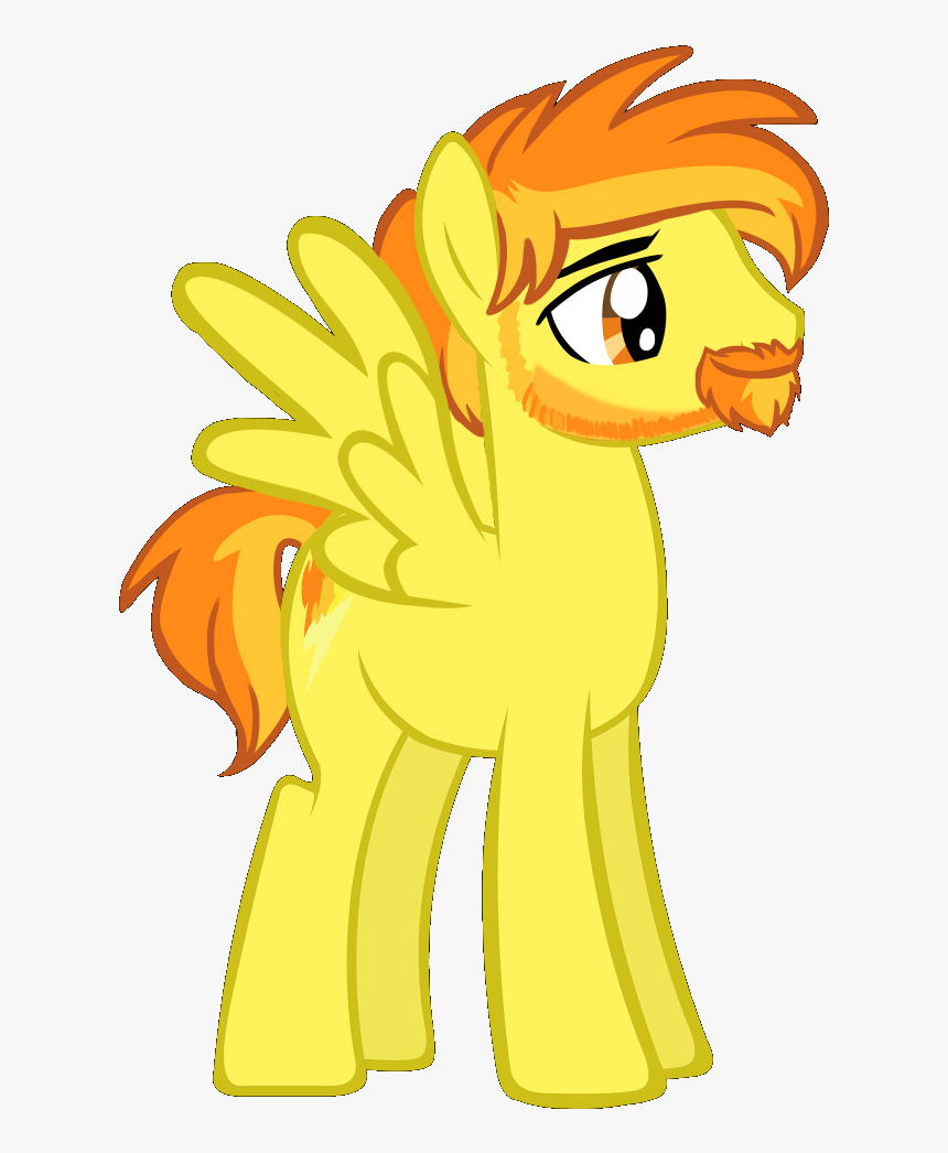 My Little Pony With Beard, HD Png Download , Transparent Png Image ...