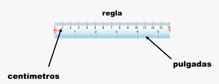 Partes De Una Regla Graduada, HD Png Download , Transparent Png Image ...