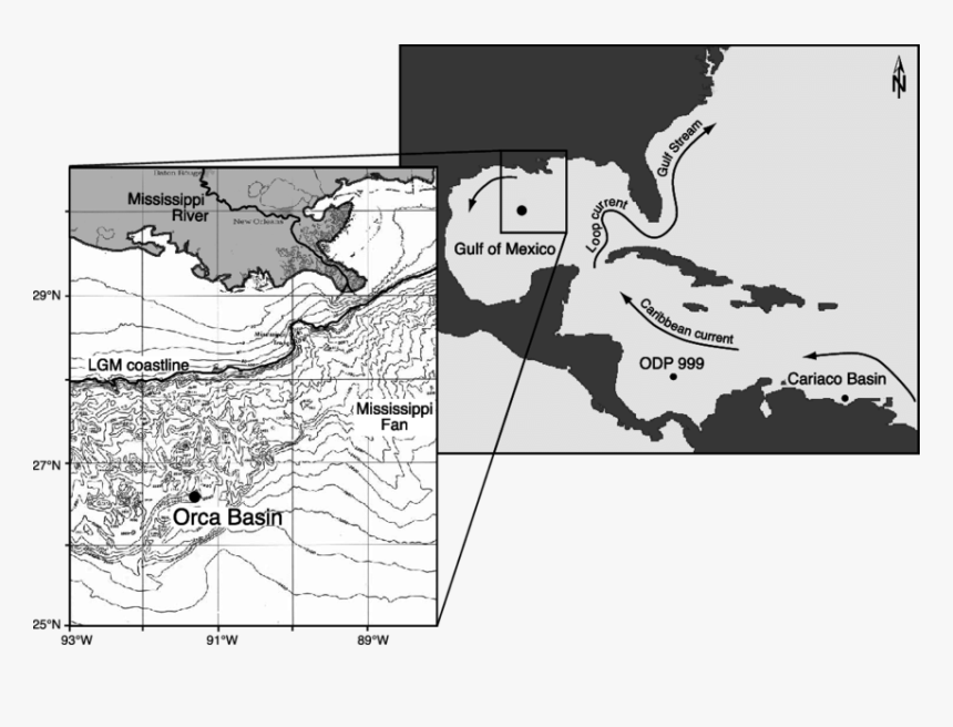 Map Of The Gulf Of Mexico Showing The Location Of Orca - Earth Americas ...
