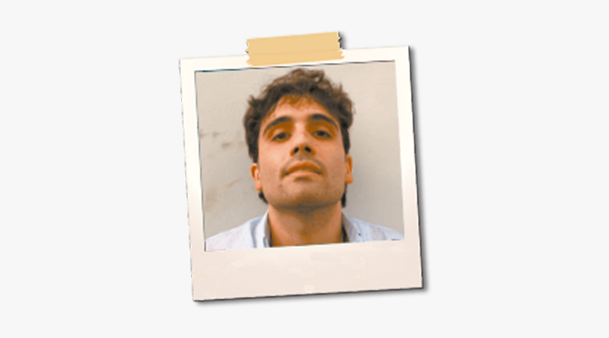 Human, HD Png Download , Transparent Png Image - PNGitem