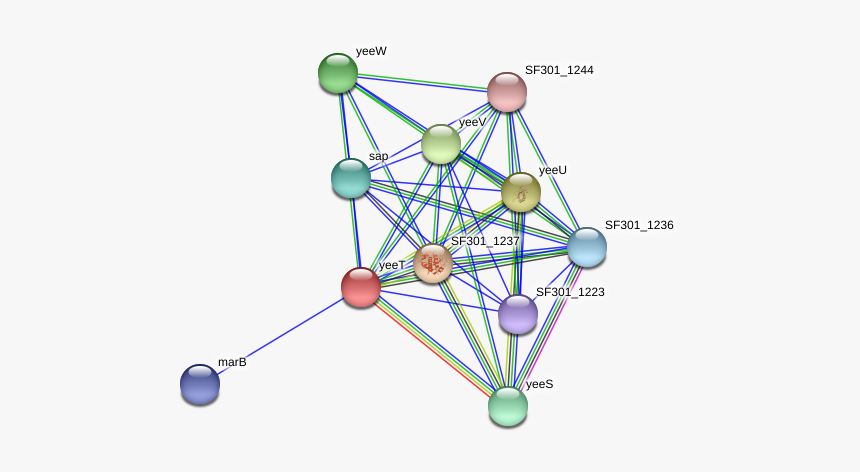 Yeet Protein - Circle, HD Png Download , Transparent Png Image - PNGitem
