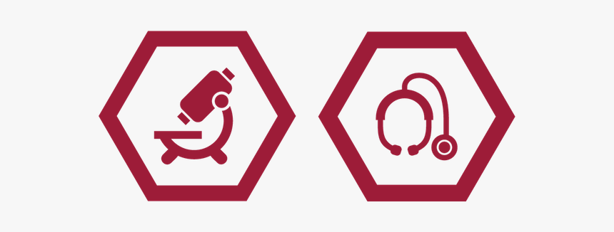 Paths Icons - Social Media Logos In Png Format, Transparent Png ...