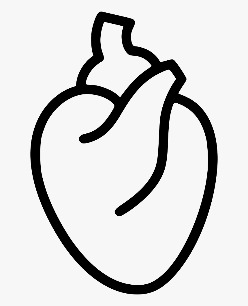 Heart Heart Muscle Blood System Body Anatomy, HD Png Download ...