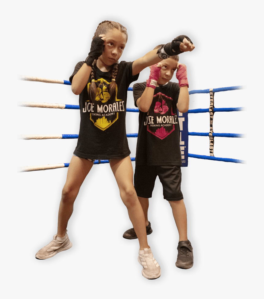 Professional Boxing, HD Png Download , Transparent Png Image - PNGitem