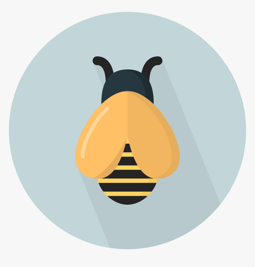 Shore, Sports Therapy - Creative Tail Animal Icon Png, Transparent Png ...