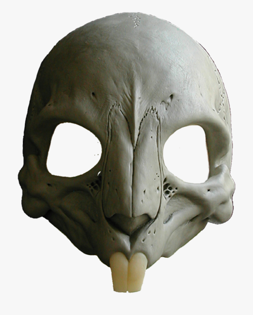 #rabbit #skull #death #mask #skullmask - Rabbit Skull Mask, HD Png ...