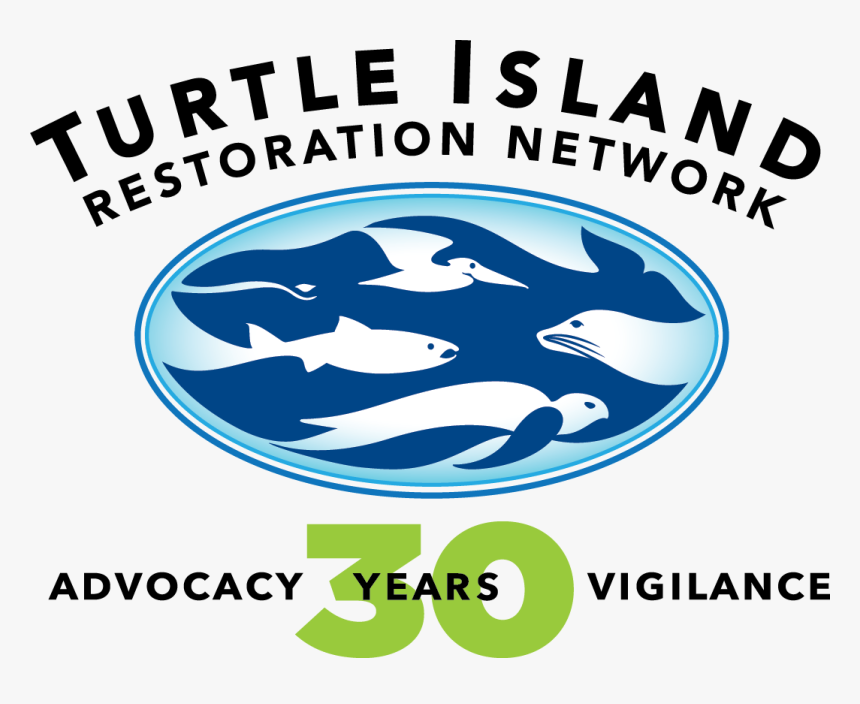 Turtle Island Restoration Network - Graphic Design, HD Png Download ...