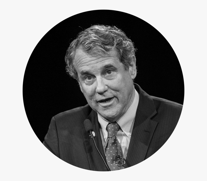 Bernie Sanders Face Png, Transparent Png , Transparent Png Image - PNGitem