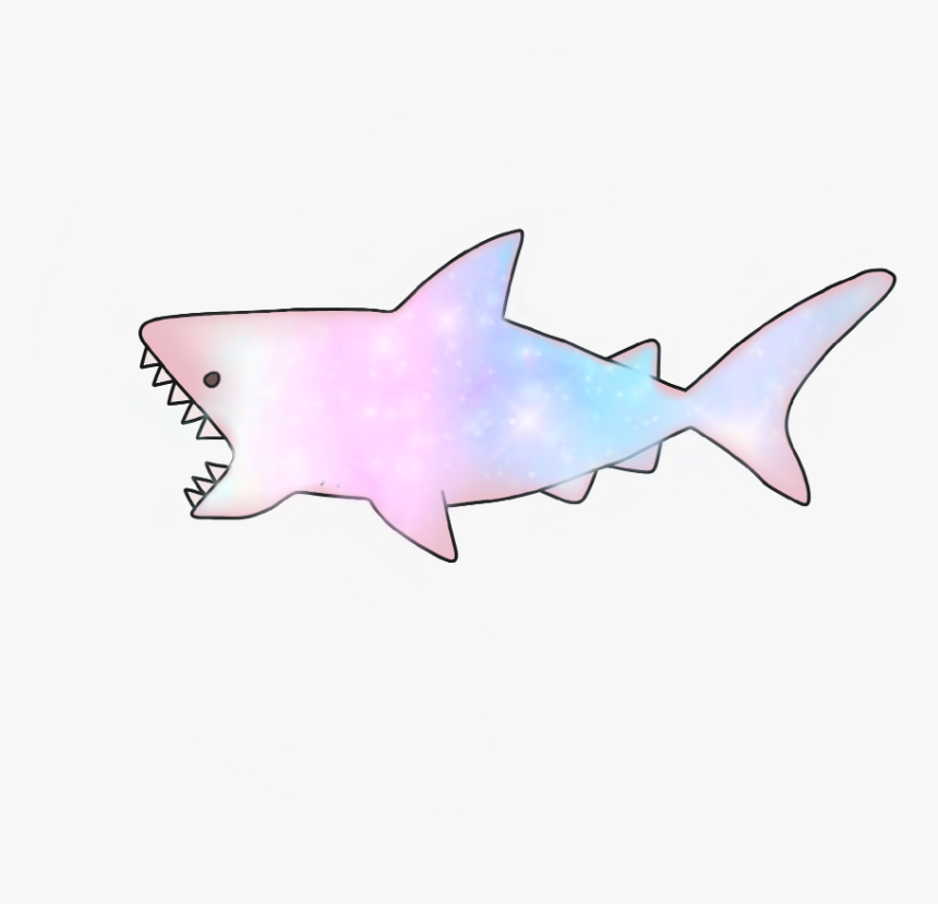 #shark #galaxy #cute #ocean, HD Png Download , Transparent Png Image ...
