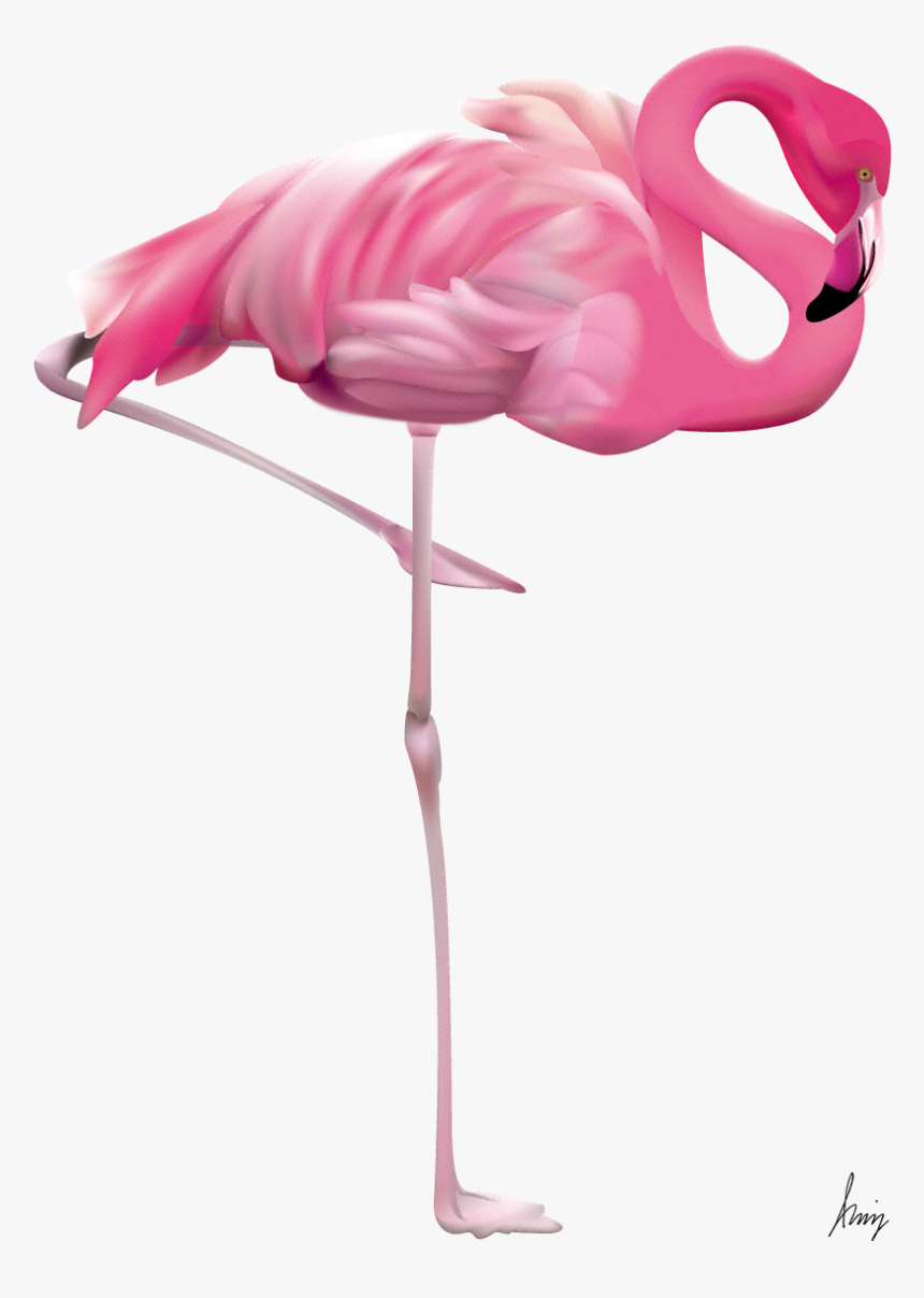 Pink Flamingo Png, Transparent Png , Transparent Png Image - PNGitem