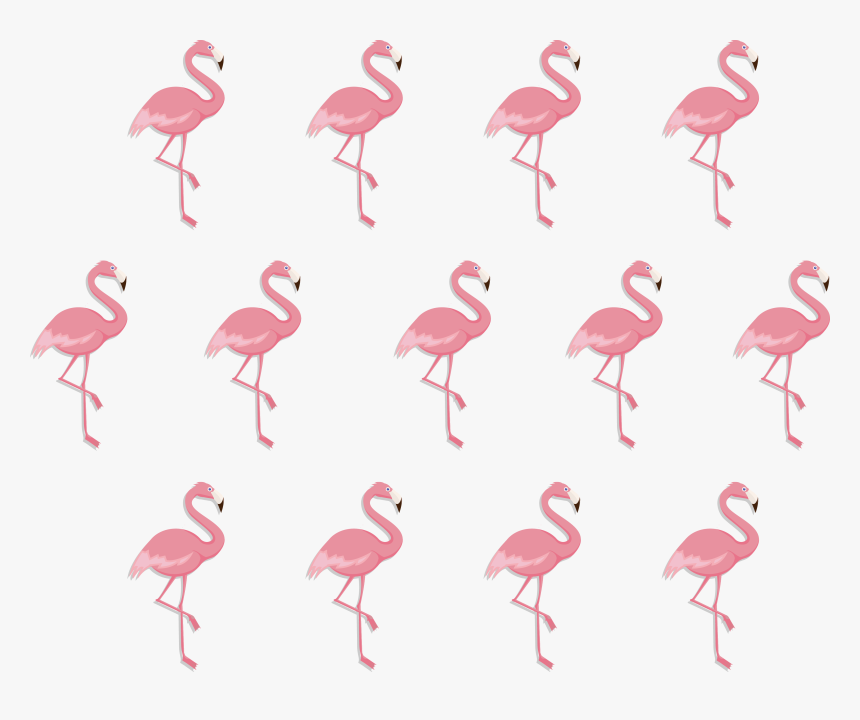 Flamingo Vector Background, HD Png Download , Transparent Png Image ...