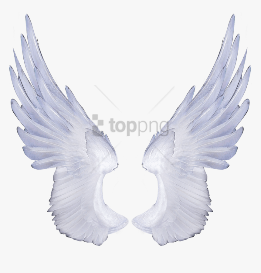 Angel Wings No Background, HD Png Download , Transparent Png Image ...