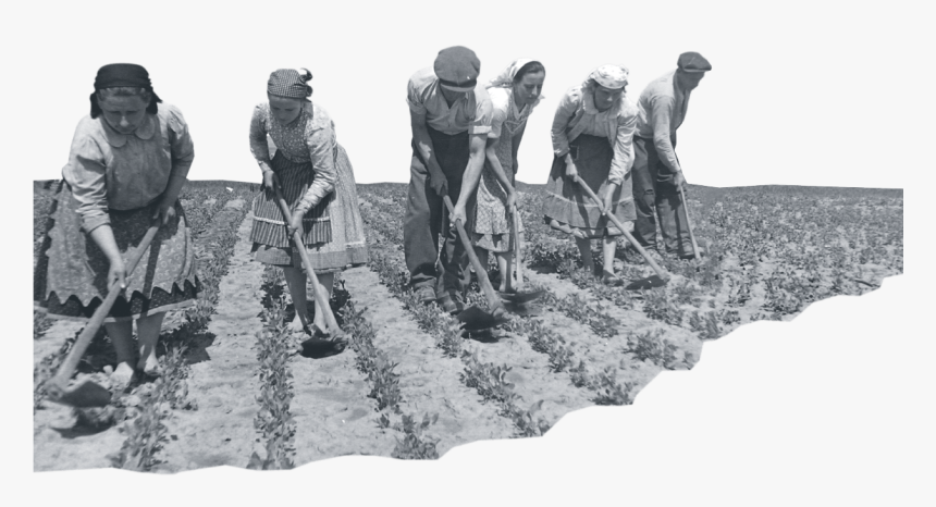 Transparent Communist Hat Png, Png Download , Transparent Png Image ...