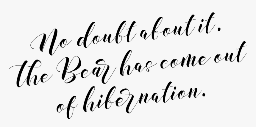 Tony Romo Png, Transparent Png , Transparent Png Image - PNGitem