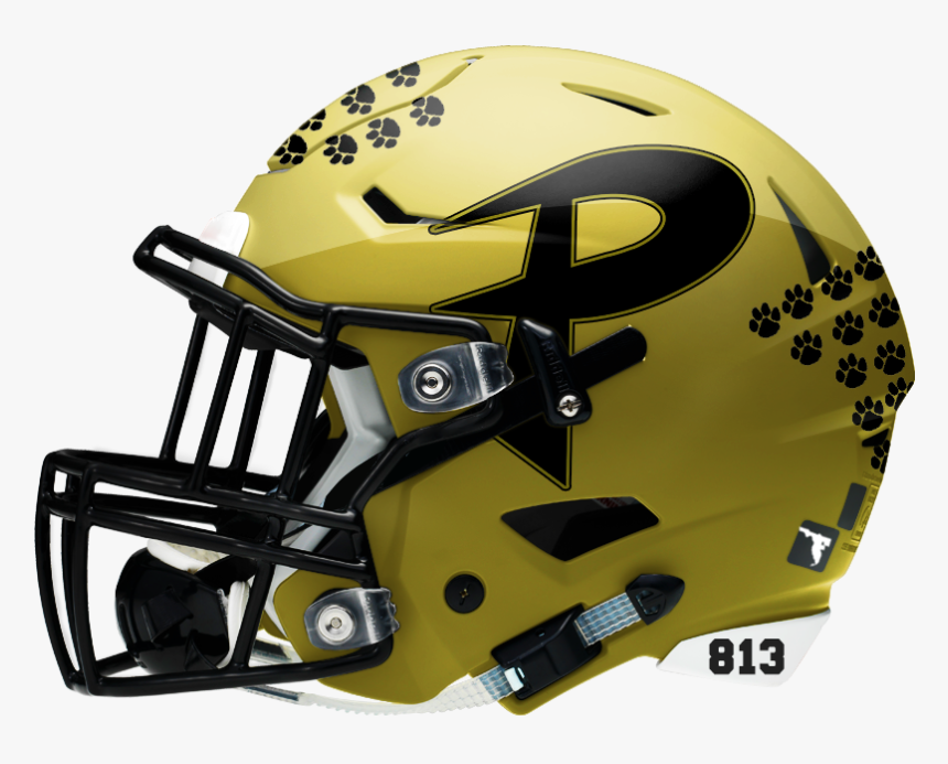 Panthers Helmet Png, Transparent Png , Transparent Png Image - PNGitem