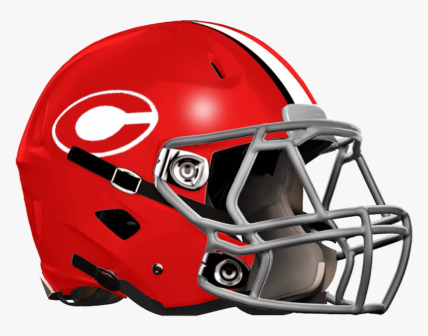 Panthers Helmet Png, Transparent Png , Transparent Png Image - PNGitem