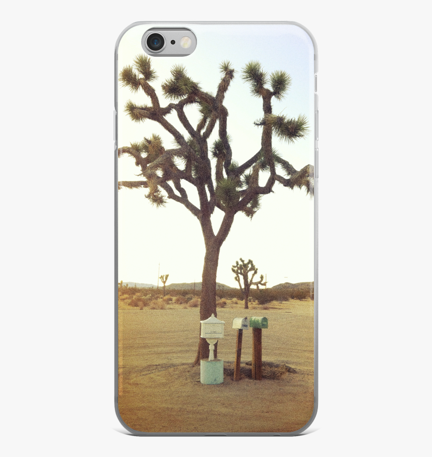 Joshua Tree Png, Transparent Png , Transparent Png Image - PNGitem
