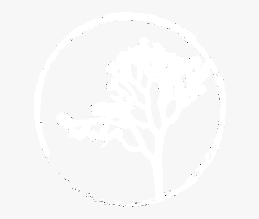 Joshua Tree Png, Transparent Png , Transparent Png Image - PNGitem