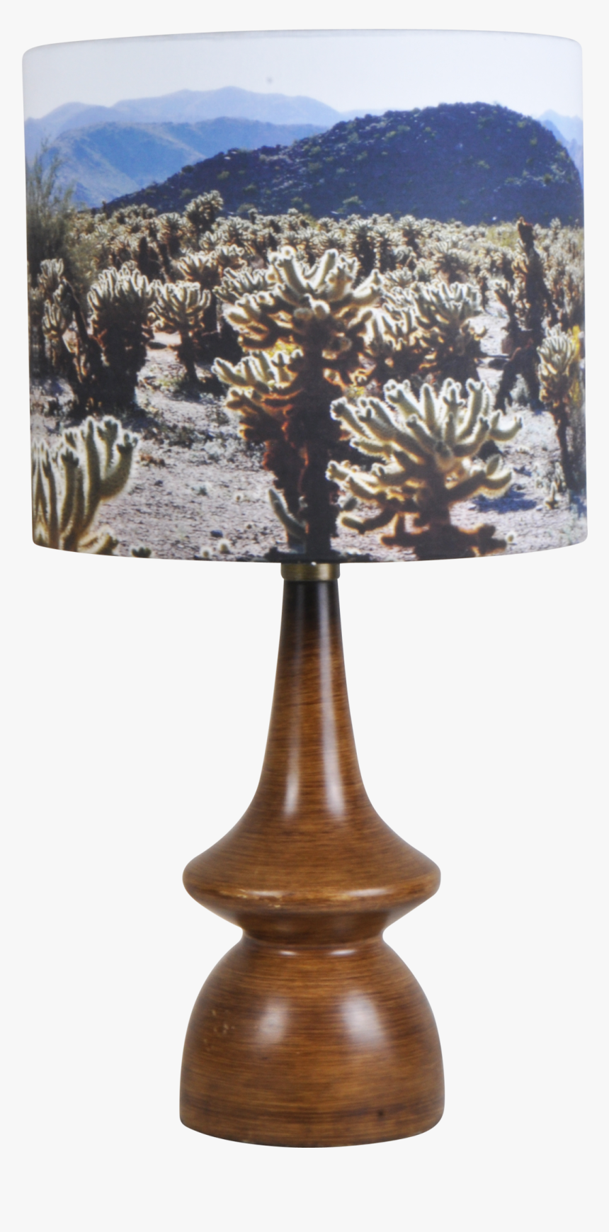 Joshua Tree Png, Transparent Png , Transparent Png Image - PNGitem