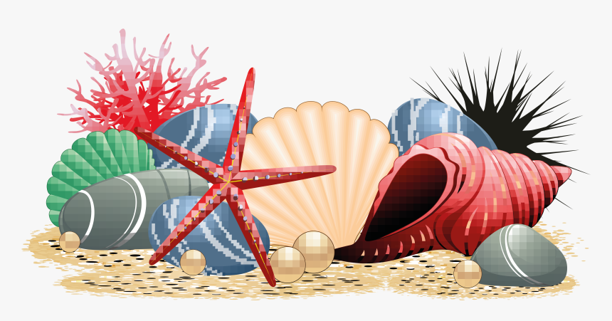 Transparent Conch Clipart, HD Png Download , Transparent Png Image ...