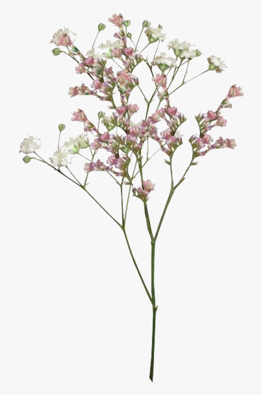 Pngs /like Or Reblog If Used/, Transparent Png , Transparent Png Image ...