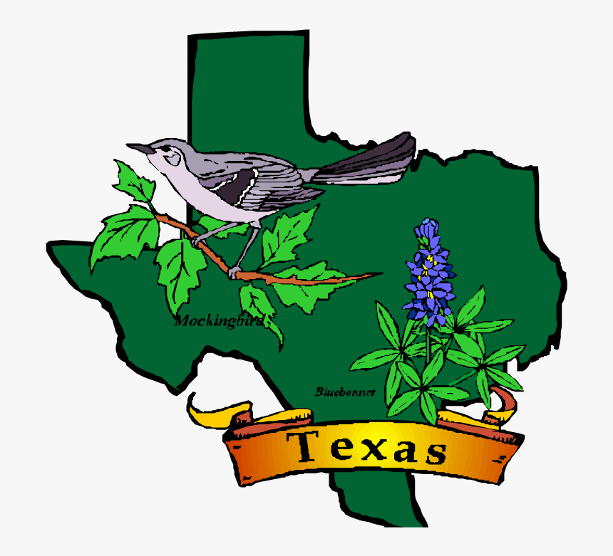 kuchen backofen: Animal Texas State Symbols