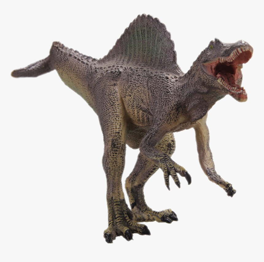 Transparent Spinosaurus Png, Png Download , Transparent Png Image - PNGitem