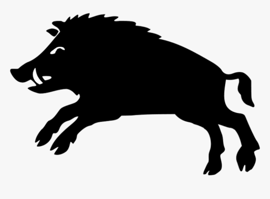 Boar Png, Transparent Png , Transparent Png Image - PNGitem