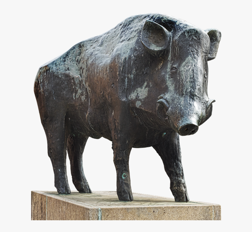 Boar Png, Transparent Png , Transparent Png Image - PNGitem