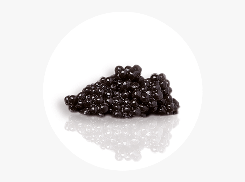 Transparent Caviar Png, Png Download , Transparent Png Image - PNGitem