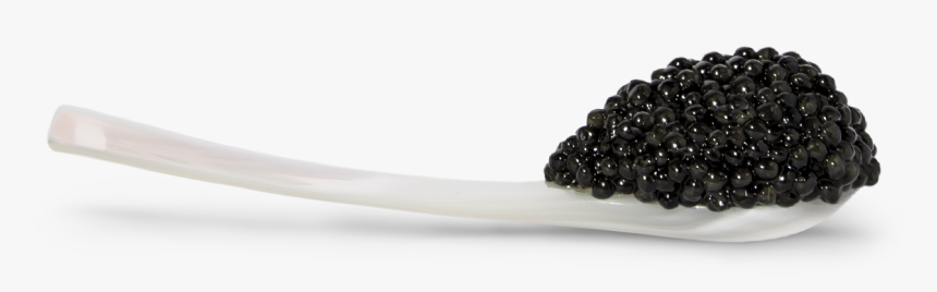 Caviar Png, Transparent Png , Transparent Png Image - PNGitem