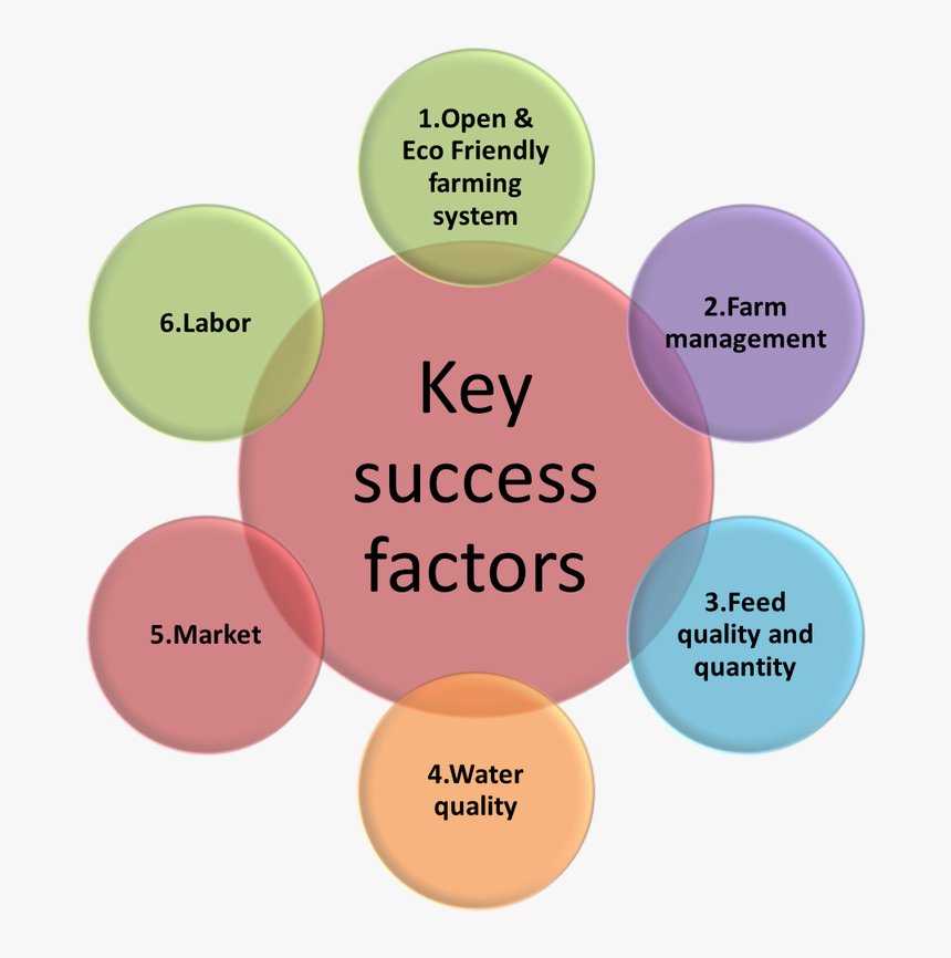 Key Success Factors HD Png Download Transparent Png Image PNGitem