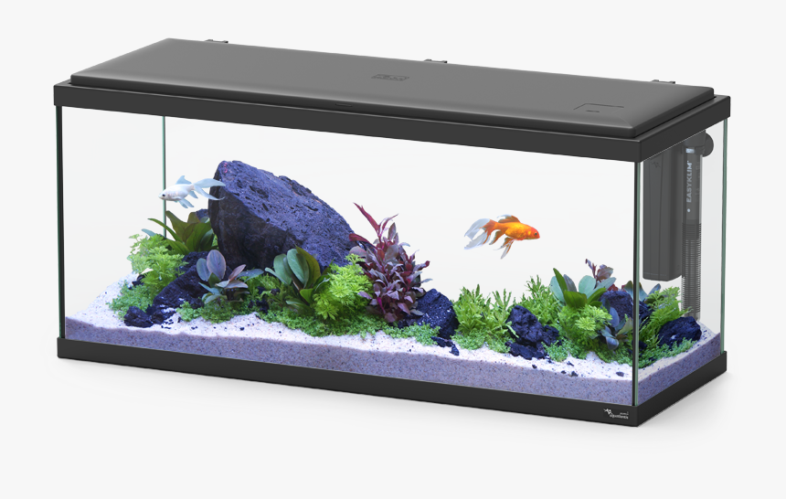 Explorer Amsterdam, HD Png Download , Transparent Png Image - PNGitem