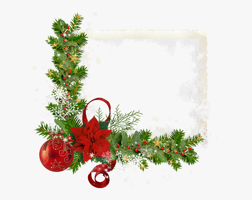 Christmas Flower Png, Transparent Png , Transparent Png Image - PNGitem